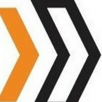 Momenta Rents Reviews & Experiences