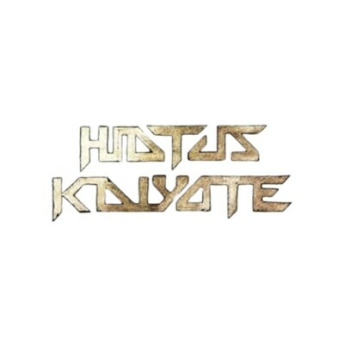 Hiatus Kaiyote Merch Reviews & Experiences