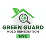 Green Guard Mold Remediation NYC Reviews & Experiences