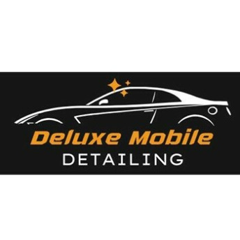 Deluxe Mobile Detailing Reviews & Experiences