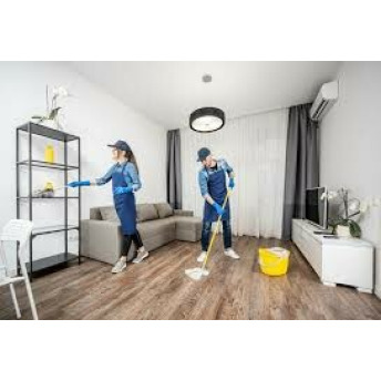 Mighty Maids Reviews & Experiences