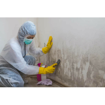 Ghost Power Washing Reviews & Experiences