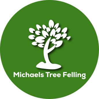 Michael’s Tree Felling Reviews & Experiences