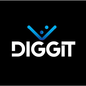Diggit Software Solutions Reviews & Experiences