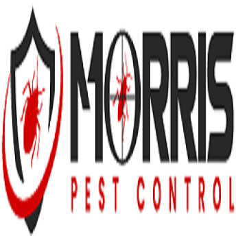 Morris Possum Removal Perth Reviews & Experiences