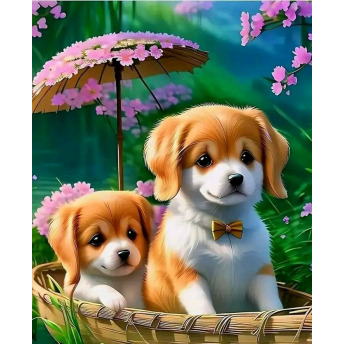 What is jaiz bank ussd code 2023 Reviews & Experiences