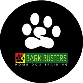 Bark Busters New Zealand Reviews & Experiences