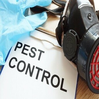Pelican Island Pest Control Reviews & Experiences