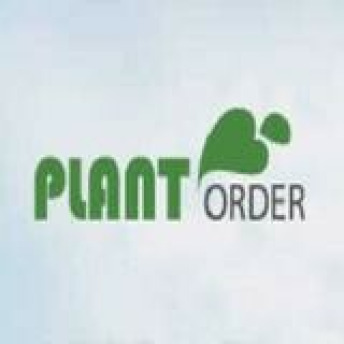 Plant Order Reviews & Experiences
