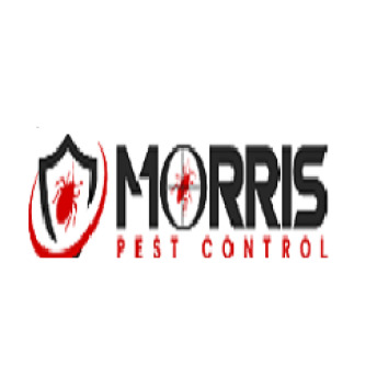 Morris Cockroach Control Perth Reviews & Experiences