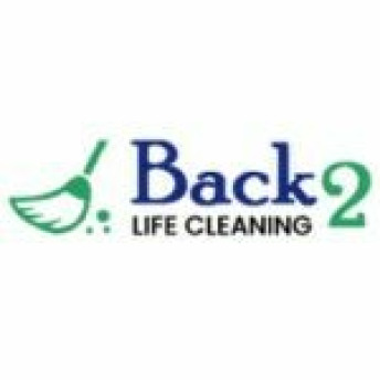 Back 2 Life Cleaning Reviews & Experiences