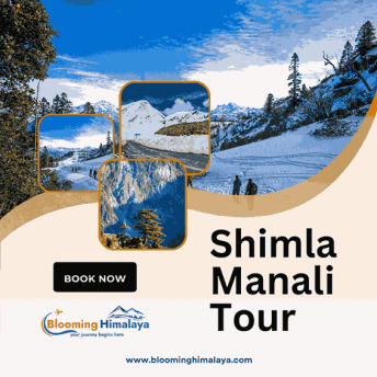 shimla manali tour package Reviews & Experiences