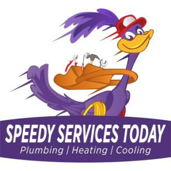 SPEEDY SERVICES TODAY Reviews & Experiences