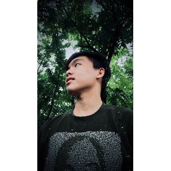 Jojo Tea Reviews & Experiences