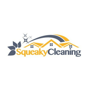 Squeaky Cleaning Reviews & Experiences