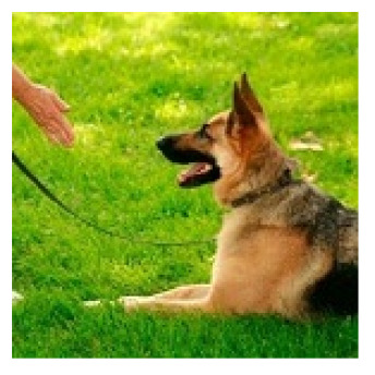 Logan's House Reviews & Experiences